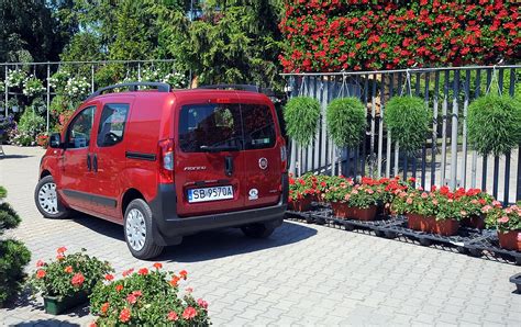 Zaświadczenie o prowadzeniu działalności gospodarczej Jak je uzyskać