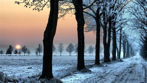 Wallpaper Sunlight Trees Landscape Forest Sky Snow Winter