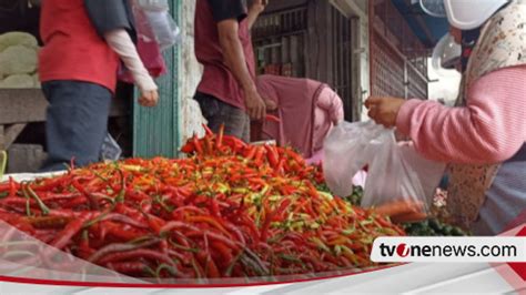 Harga Cabai Rawit Meroket Di Kapuas Hulu Menyentuh Rp100 Ribu Per