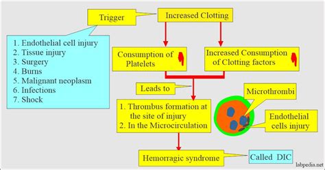 Disseminated Intravascular Coagulopathy DIC Diagnosis