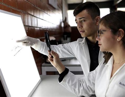 Maestría en Criminología Universidad Humani Mundial