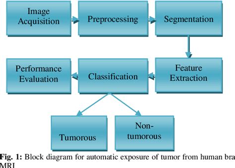figure 1 from swarm based optimization technique for detection of brain tumor in t2 weighted mri