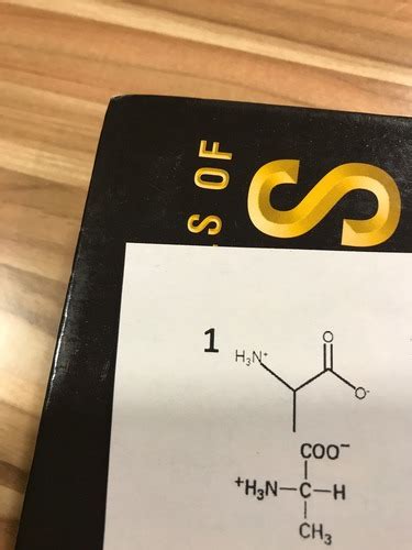 Amino Acids Flashcards Quizlet