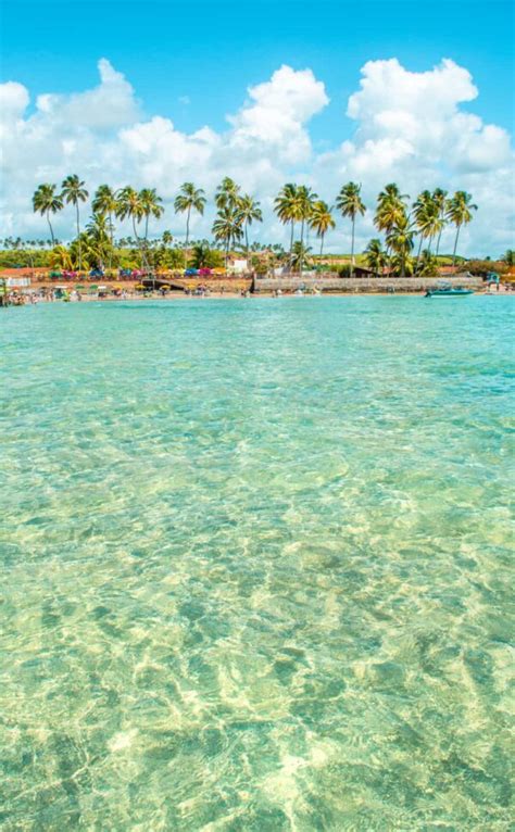 Pontos Turísticos de Maceió Praias e Lugares Legais de Conhecer