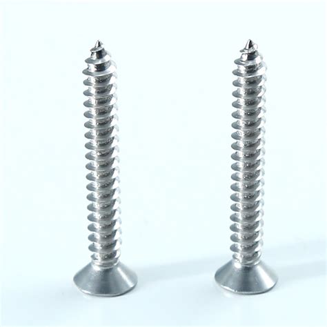 SS304 SS316 Torx Drive Flat Head Self Tapping Screw China Tapping