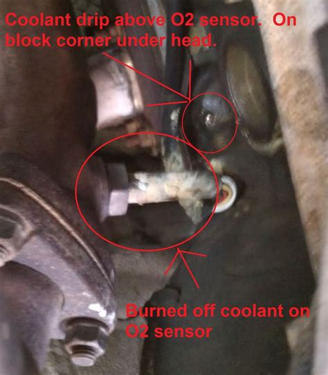 Mini Cooper Coolant Leak Head Gasket Mini Cooper Cars