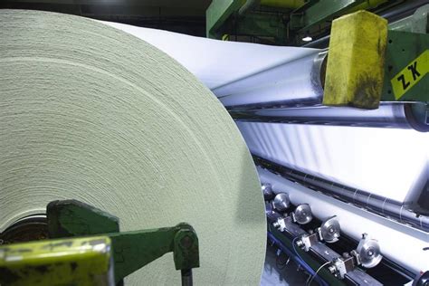 Suzano planeja investir R 2 bi em projetos de modernização industrial