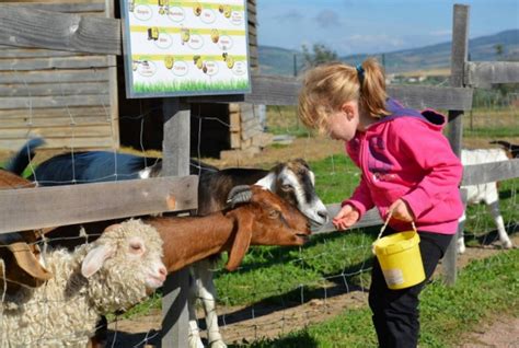 Top des fermes pédagogiques près de Clermont Ferrand sortie en