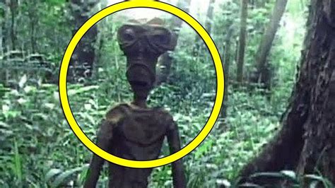 Explorer Captures What No One Was Supposed To See Youtube