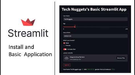 How To Install Streamlit And Develop A Basic App Streamlit Basic App