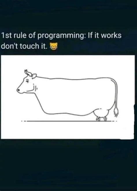rule of programming if it works don t touch it ifunny