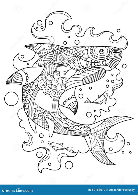 Livre De Coloriage De Requin Pour Le Vecteur D Adultes Illustration De
