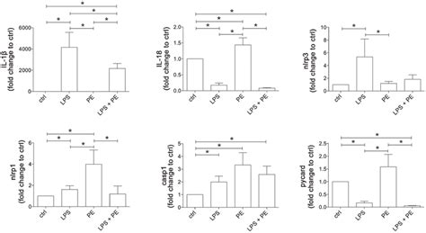 LPS And Or PE Stimulation Results In Distinct Gene Expression Pattern