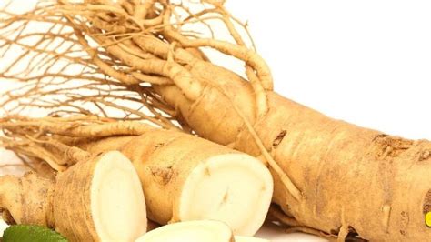 Ginseng nedir Ne işe yarar Faydaları neler Nasıl kullanılır