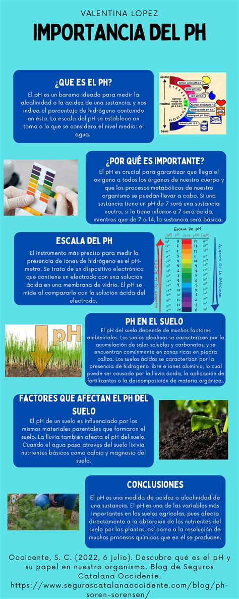 Infografía Importancia DEL Ph IMPORTANCIA DEL Ph V A L E NT INA L OPE