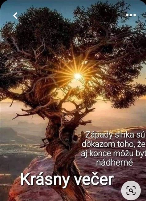 Pin di Zuzana Stašová su Projekty na vyskúšanie