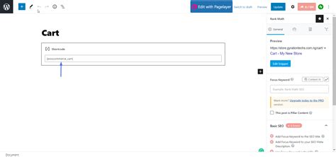 Woocommerce Cart Not Working How To Fix This Error