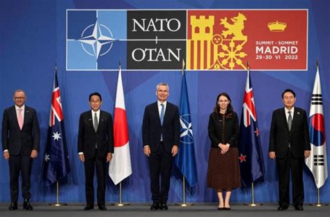 Daftar Negara Anggota NATO Dan Sejarahnya Gramedia Literasi