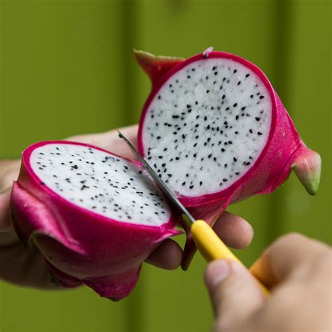 Frutas Típicas Dos Estados Unidos REVOEDUCA