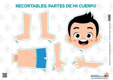 Pin De Mtra Anita En El Cuerpo Humano Rompecabezas Del Cuerpo