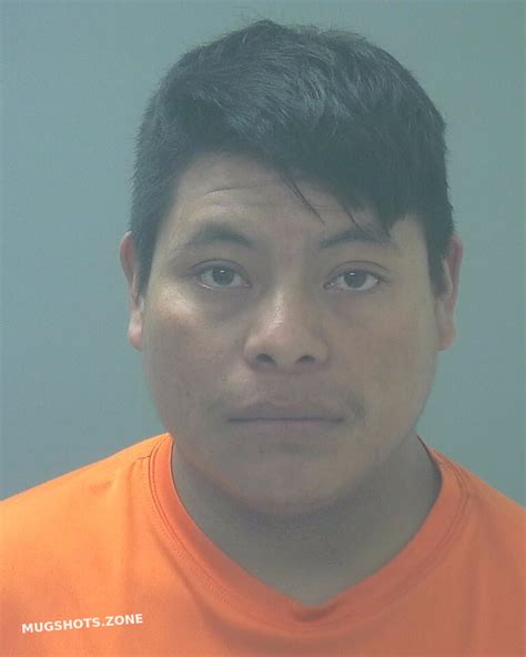 DOMINGO PEREZ ADALBERTO 02 08 2024 Santa Rosa County Mugshots Zone