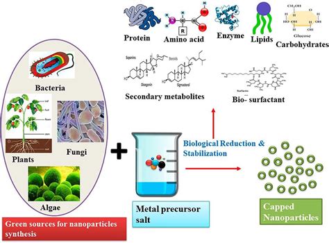 Alternative Capping Agent For Green Metallic Nanoparticle Synthesis