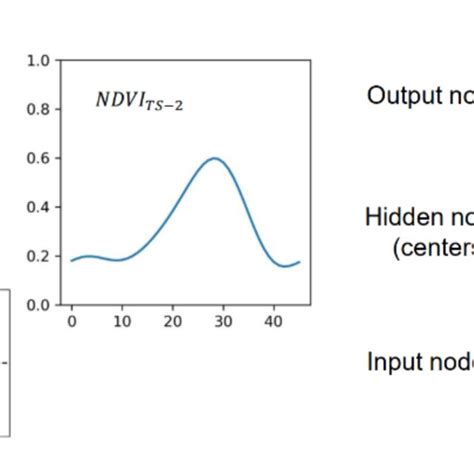 the structure of radial basis function networks rbfns and the input download scientific