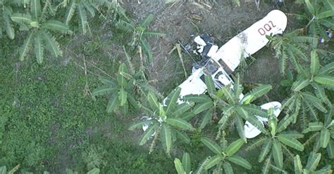 G1 Em São Vicente Férrer PE avião monomotor cai e piloto fica