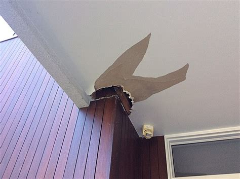 How To Patch Small Hole In Plaster Ceiling Shelly Lighting