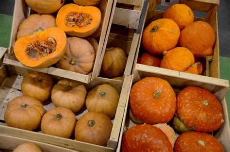Visite du marché de Rungis le plus grand marché de produits frais au monde