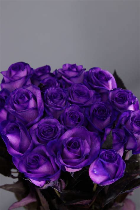 Details 48 Rosas Moradas Abzlocal Mx
