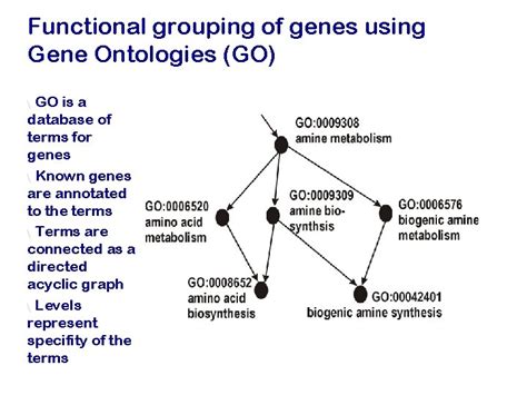 gene expression based tumor classification using biologically informed