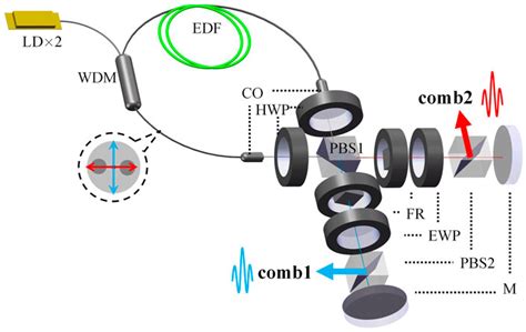 frontiers polarization multiplexed dual comb fiber laser based on an all polarization