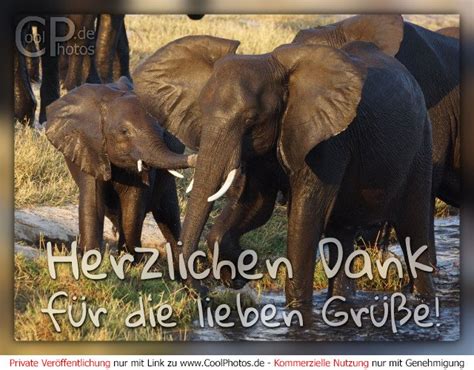 CoolPhotos de Danke Herzlichen Dank für lieben Grüße