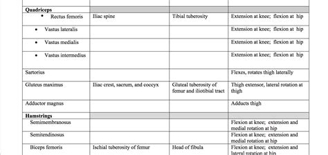 Solved Hip Thigh Name Origin Insertion Action Tensor Fascia Latae