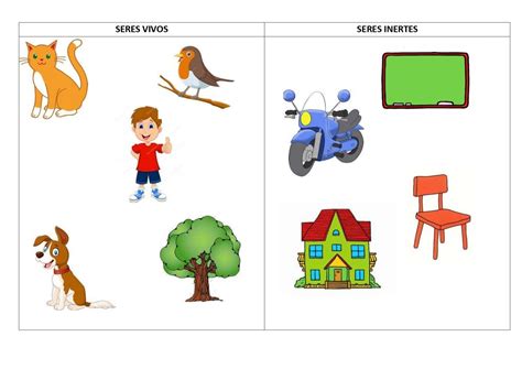 Seres Vivos E Inertes Imagenes Infoupdate Org