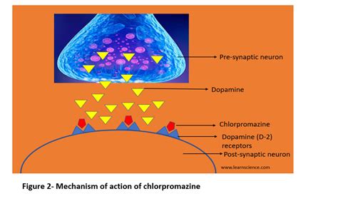 Chlorpromazine Biopharma Notes