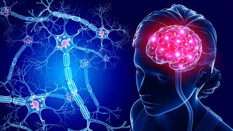 explainer what is a neuron