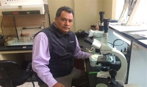 La lasiodiplodia se ha vuelto más agresiva en las plantaciones de