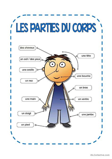 LES PARTIES DU CORPS dictionnaire vi Français FLE fiches pedagogiques