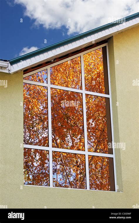 Reflection Of Birch Tree In Windows Of Cottage Stock Photo Alamy