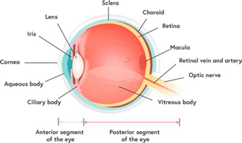 Stevenson Screen Labelled Diagram Of A