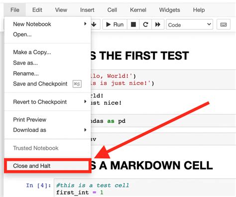How To Use Jupyter Notebook Basics For Beginners Best Practices