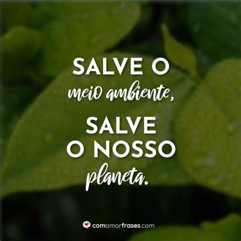Salve O Meio Ambiente Salve O Nosso Planeta Amor Frases