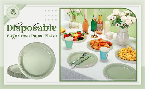 Amazon Sage Green Paper Plates 9 Inch Disposable Dinner Plates