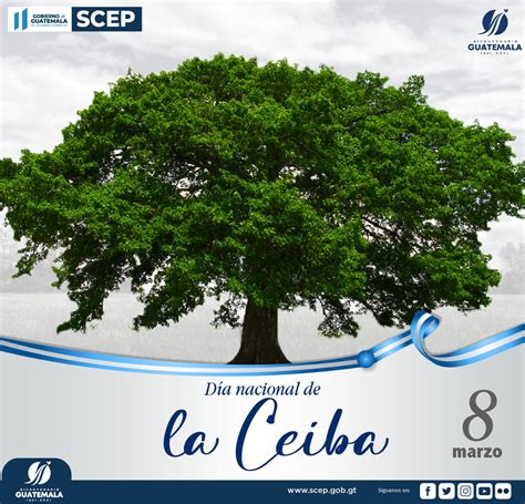 La Ceiba Árbol Nacional de Guatemala Estudios Sociales Online
