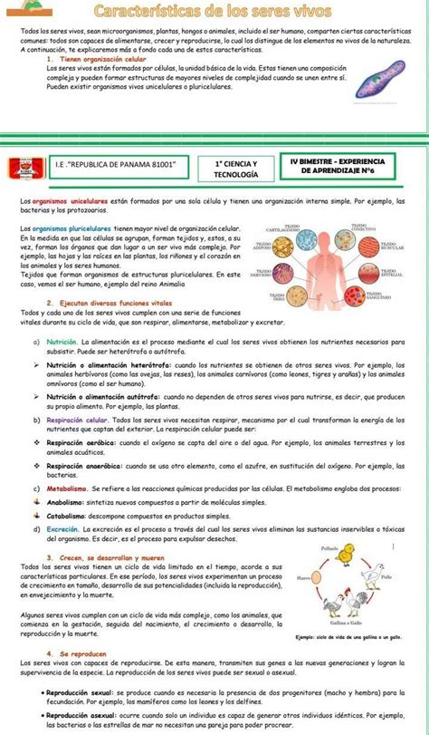 Elaboramos Un Esquema De Llaves Con Las Ideas Principales Para Explicar