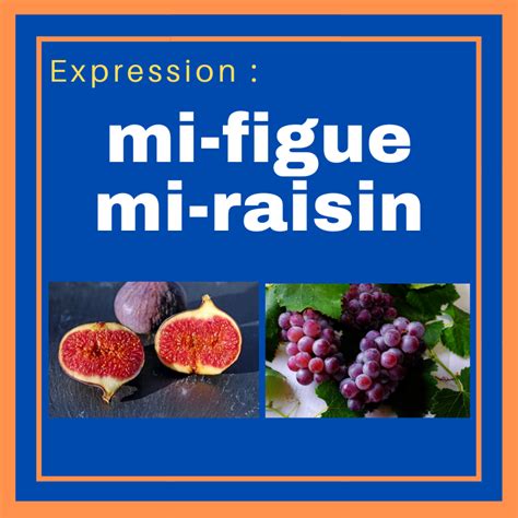 Expression mi figue mi raisin Regard sur le français