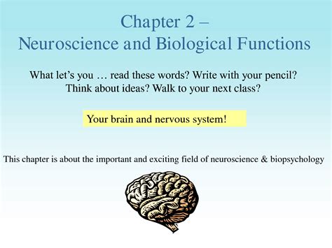 SOLUTION Biological Basis Of Behavior Studypool