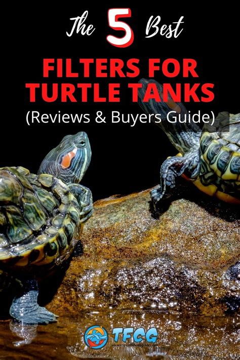 Best Filter For Turtle Tanks Reviews Buyers Guide TFCG